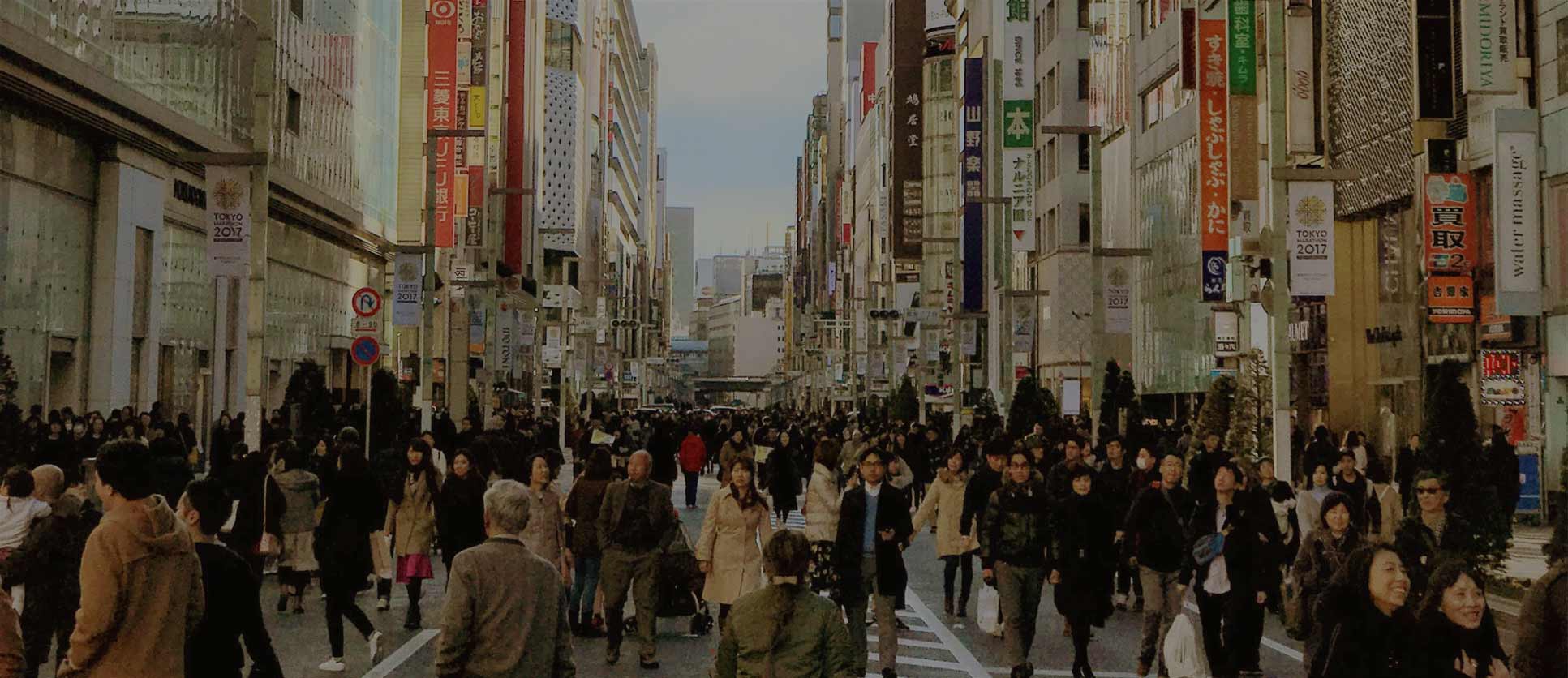 Careers - Haggai International