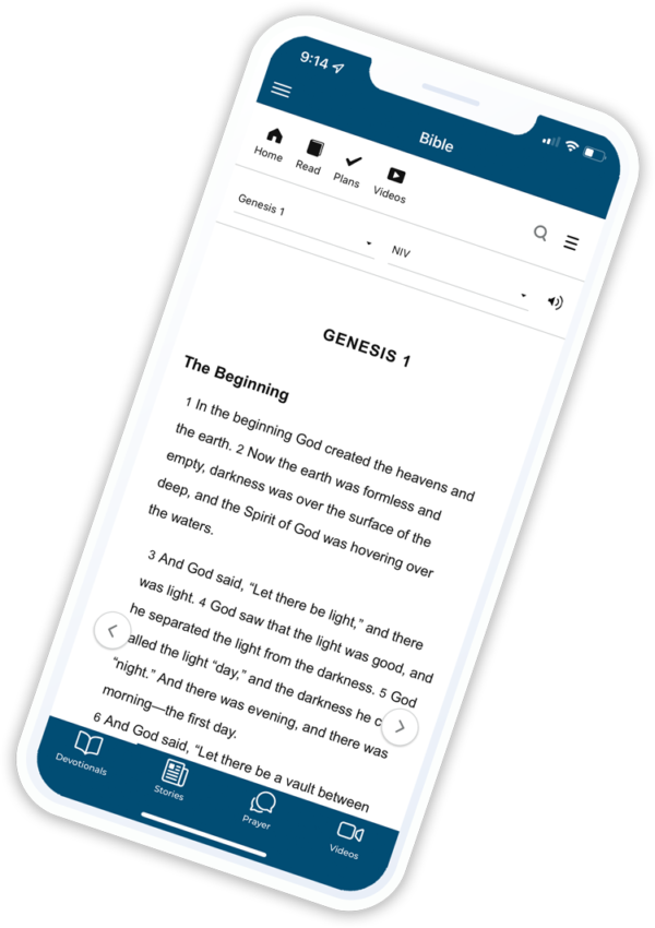 Insight App - Haggai International
