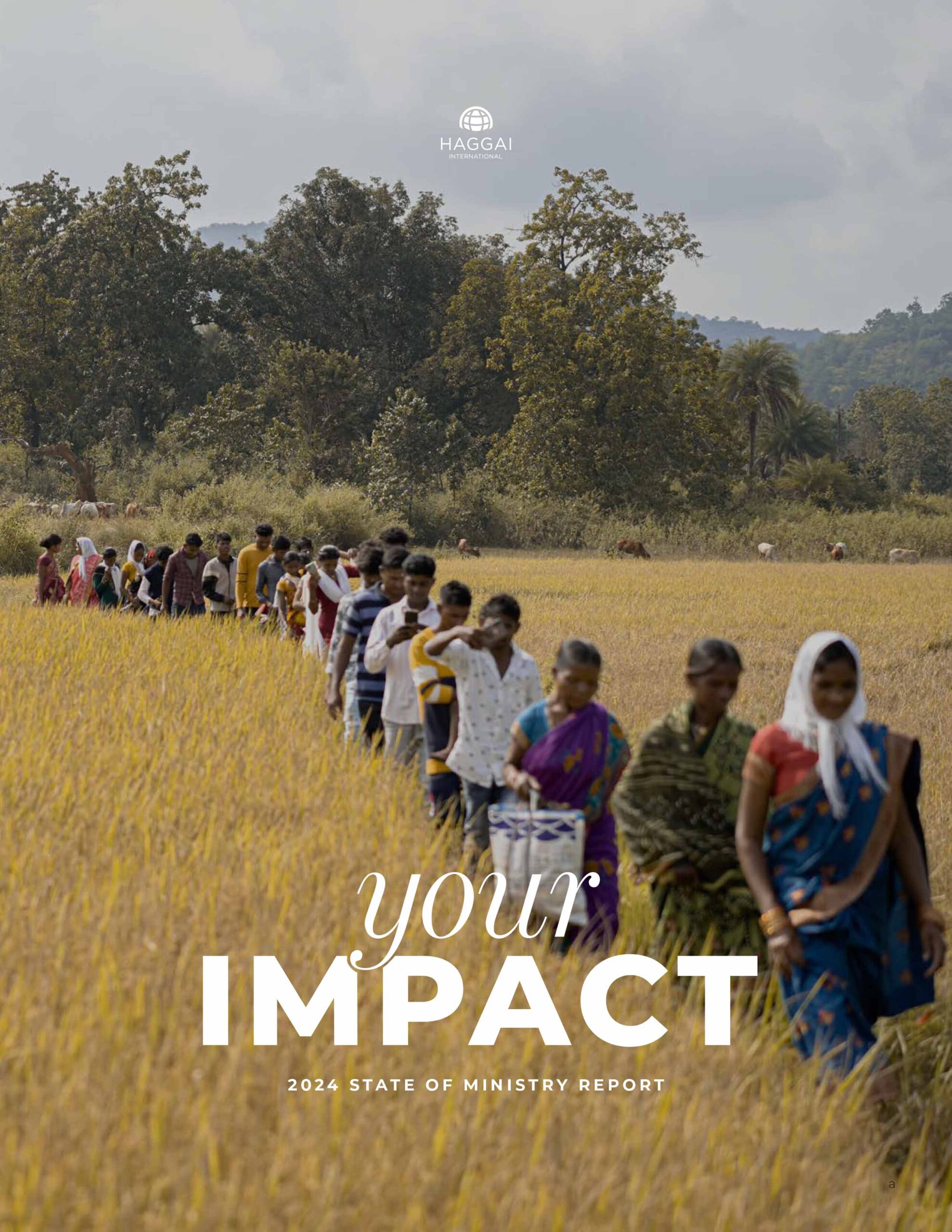 2025 State of the Ministry Report - Haggai International